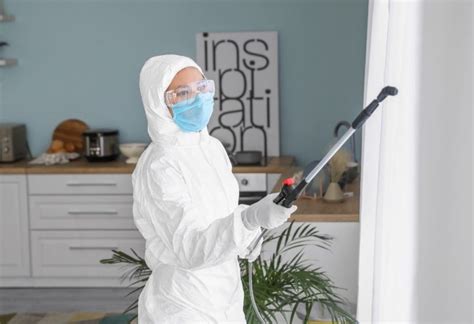 How Does A Bed Bug Fogger Work At Randall Starkes Blog