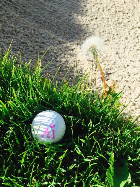 Na Yeon Choi Asia Club 최나연崔羅蓮亞洲俱樂部 2015 Lpga Keb Hana Bank