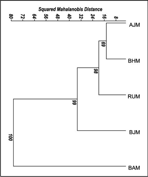 Cluster Analysis Using The Un Weighted Pair Group Average Method Download Scientific Diagram