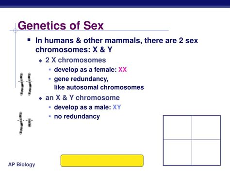 PPT Beyond Mendels Laws Of Inheritance PowerPoint Presentation Free Download ID 1402727
