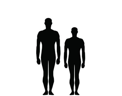 Height Difference Visualizing 6 Foot And 56 All The Differences
