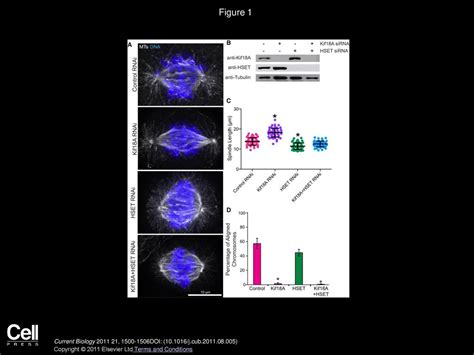 Volume 21 Issue 17 Pages September 2011 Ppt Download
