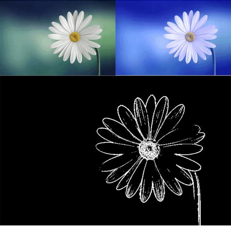 Sobel Filter Project Suhaan Bhandary