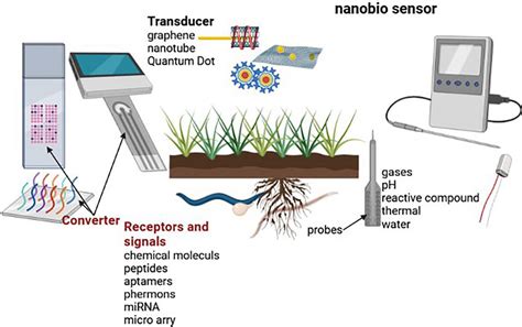 David Pires On Linkedin Nanobiosensors A Powerful Technology For Early Detection Of Plant…