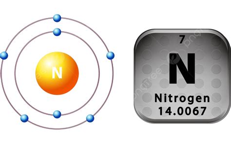 Nitrogen Atom Labeled