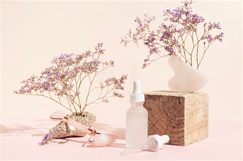 홈 스킨 케어 및 스파용 페이셜 키트 화장품 세럼 페이스 롤러 분홍색 파스텔 햇살 이진 배경에 있는 구아 샤 마사지기 나무 연단과 돌 자연 치료 개념 꽃 식물에 대한 스톡