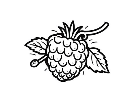 Raspberry Coloring Sheet Coloring Page