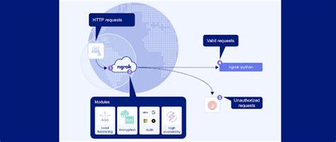 Platform Ingress Ngrok Introducing The Python Sdk