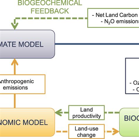 Schematic Of Modeling Framework To Investigate The Biogeochemical And