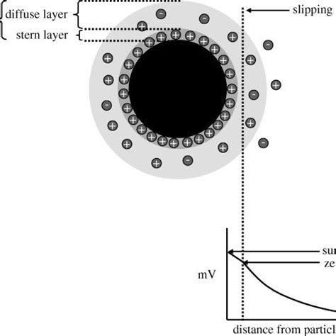 Schematic Showing The Electrical Double Layer That Surrounds A Particle Download Scientific