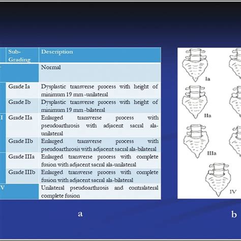 Classification Of Lumbo Sacral Transitional Vertebra Lstv Proposed Download Scientific