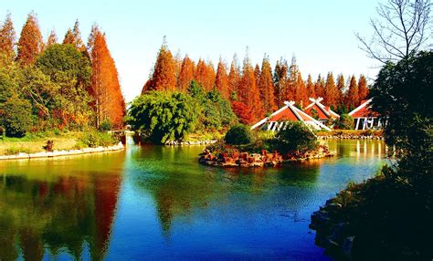 上海东平国家森林公园游玩攻略简介 上海东平国家森林公园门票 地址 图片 开放时间 照片 门票价格【携程攻略】