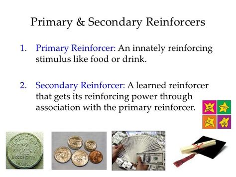 Secondary Reinforcement Examples At Richard Day Blog