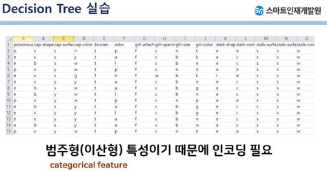 Machine Learning Decision Tree