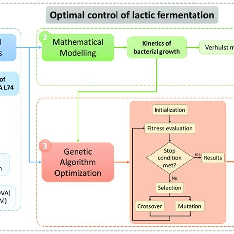 Flowchart Of The Activities Carried Out For The Lactic Fermentation Download Scientific Diagram