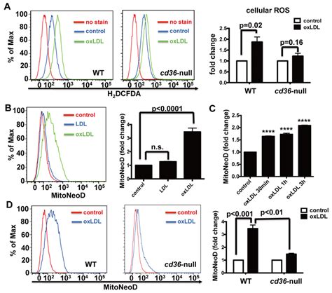 Mitochondrial Metabolic Reprogramming By Cd36 Signaling Drives Macrophage Inflammatory Responses