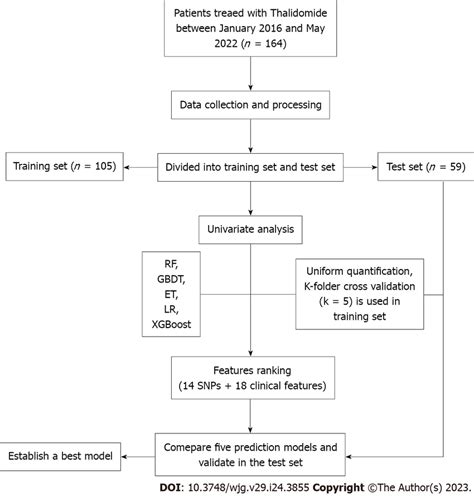 Flow Chart Display Flow Chart Showing The Process Of Model Generation Download Scientific