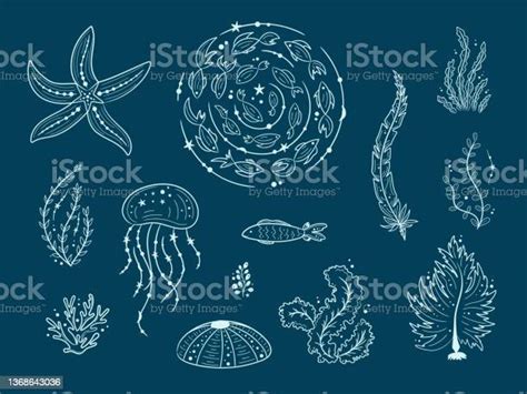 어두운 배경에 고립 된 바다 생활의 실루엣 벡터 핸드 그린 그림의 새겨진 선입니다 스케치 해파리 물고기 해초 산호 조개 성게의 컬렉션 개체 그룹에 대한 스톡 벡터 아트 및