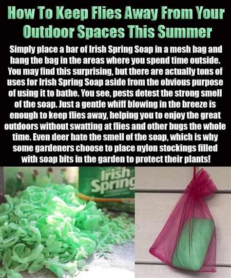 Diy Fly Repellent Spray For Your Outdoor Spaces