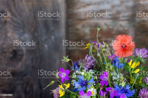 아름다운 초원 꽃과 양귀비의 꽃다발은 자연광이 들어오는 실내에서 어두운 나무 배경에 있으며 야생화가 있는 정물이다 0명에 대한 스톡 사진 및 기타 이미지 Istock