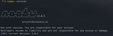 Bug Could Not Create Runner Again Issue Projectdiscovery Naabu GitHub