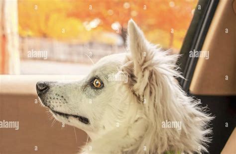 Has Anyone Seen This Man R Uiuc