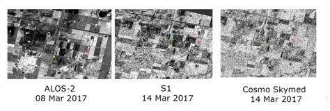 Comparing Alos 2 Copernicus Sentinel 1 And Cosmo Skymed Data Earth Online