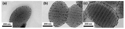 Morphological Evolution Of Hybrid Block Copolymer Particles Toward Magnetic Responsive Particles