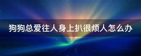 狗狗总爱往人身上扒很烦人怎么办 业百科