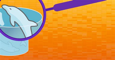 Monitor Rds Mysql Using Datadog Datadog