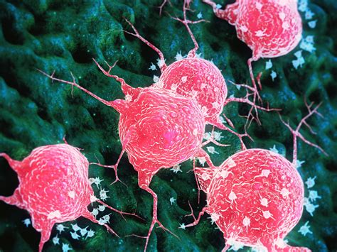 Whole Exome Sequencing Twist Bioscience