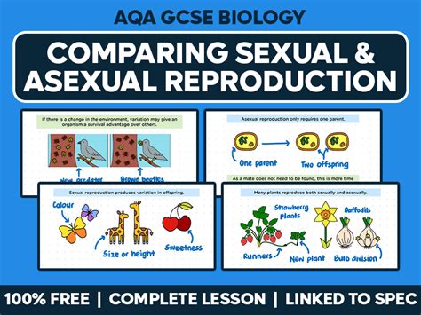 Gcse Aqa Biology Complete Lesson Comparing Sexual And Asexual Reproduction Teaching Resources