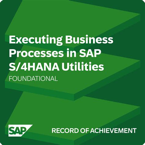 Executing Business Processes In Sap S 4hana Utilities Record Of Achievement Credly