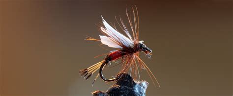 Recognising And Preventing Phishing The Most Dangerous Phishing Methods Explained Mtf Solutions