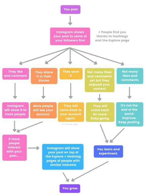 Understanding The Instagram Algorithm How It Works In 2023 Allsmo