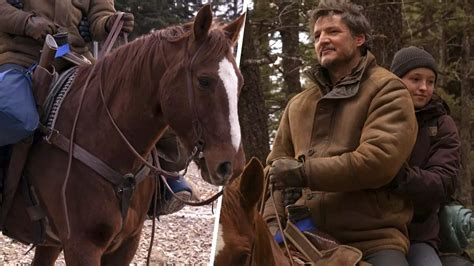 The Last Of Us Viewers Pour One Out For Callus The Horse News