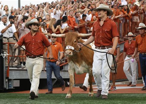 Photos Best Of Texas Longhorns Live Mascot Bevo Xv