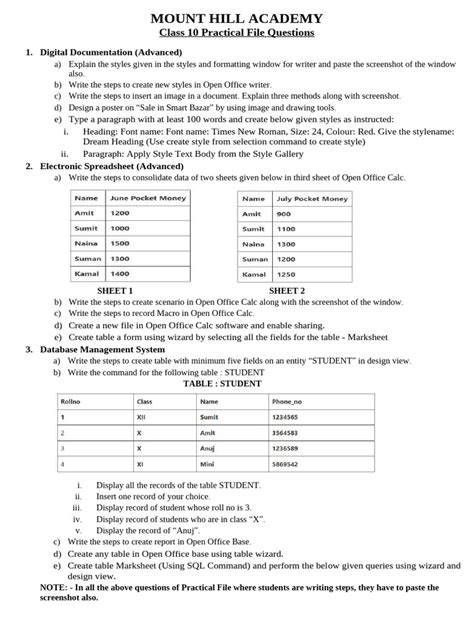 Class 10 Practical File Pdf