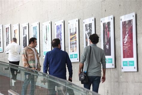 کدام فیلم‌ها در روز آخر جشنواره بین‌المللی فیلم کوتاه تهران نمایش داده می‌شود؟ نامزدهای بخش
