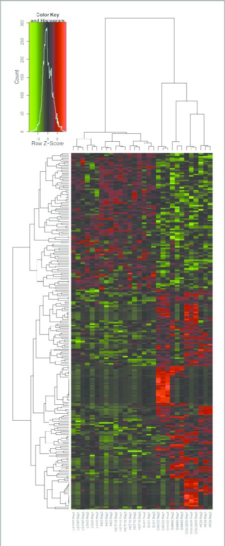 Supervised Cluster Analysis According To Mmr Status The Heatmap Download Scientific Diagram