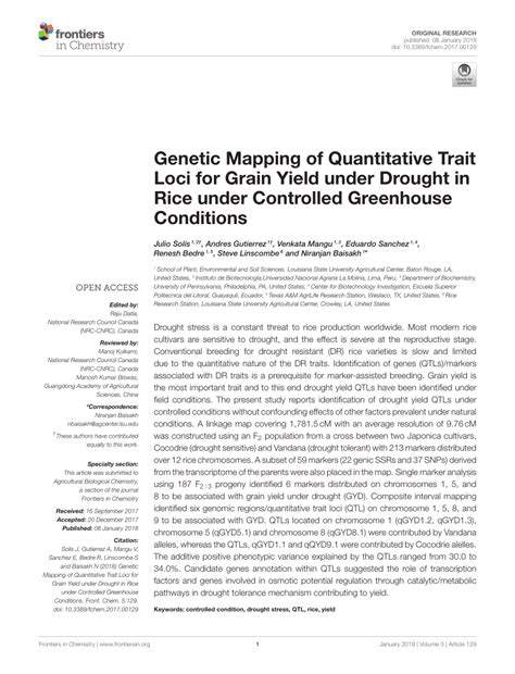 Pdf Genetic Mapping Of Quantitative Trait Loci For Grain Yield Under Drought In Rice Under