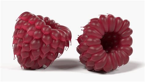 Raspberry 3d Models Download Free3d