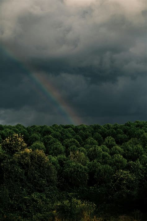 가을 경치 경치가 좋은 고요한 광야 구름 기후 깨끗한 나뭇잎 날씨 다채로운 대기의 목가적인 무성한