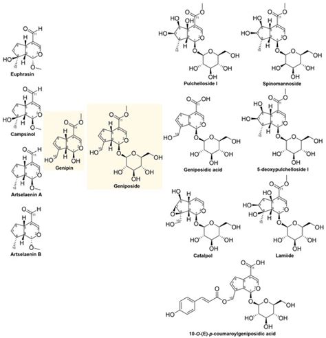 Ligand Based Drug Design Of Genipin Derivatives With Cytotoxic Activity