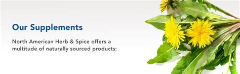 North American Herb And Spice Pine Power Plus 8 Fl Oz