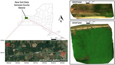Remote Sensing Free Full Text Predicting Table Beet Root Yield With Multispectral Uas Imagery