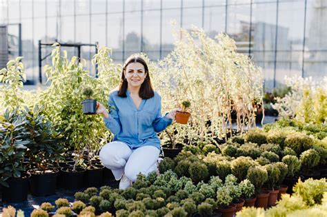 한 젊은 여성이 식물점 근처 거리의 화단 옆에 앉아 작은 나무가 있는 냄비를 선택한다 한 여성이 마당을 조경하기 위해 식물을 선택합니다 가정 원예 개념 25 29세에 대한