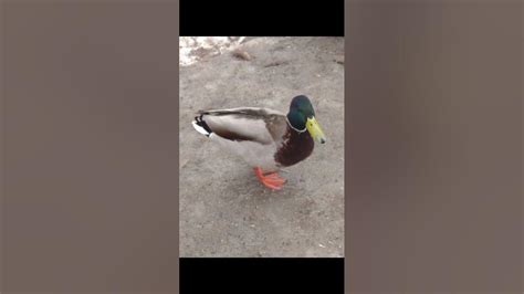 милые фоточки` Youtube