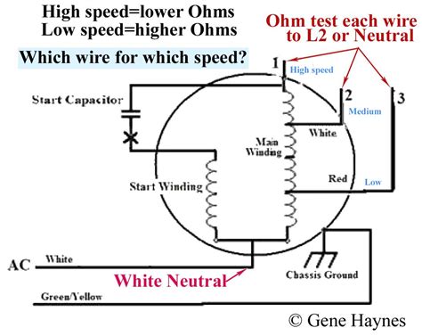 Speed Fan Wiring Diagram For Your Needs