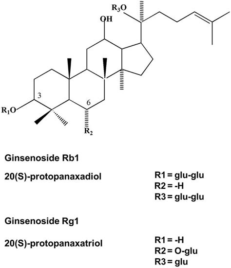 Chemical Structure Of Ginsenosides Rb1 And Rg1 Ginsenoside Rb1 Is An